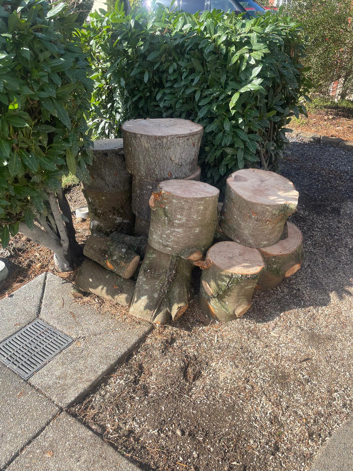 How to Set Your Stump Grinding Goals? - A Valuable Method!